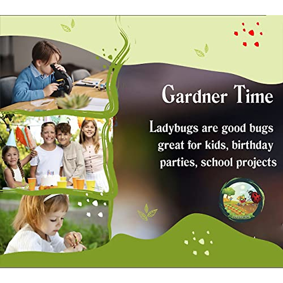 Gardner Time 3000 Live Ladybugs - Good Bugs for Garden - Ladybugs - Guaranteed Live Delivery