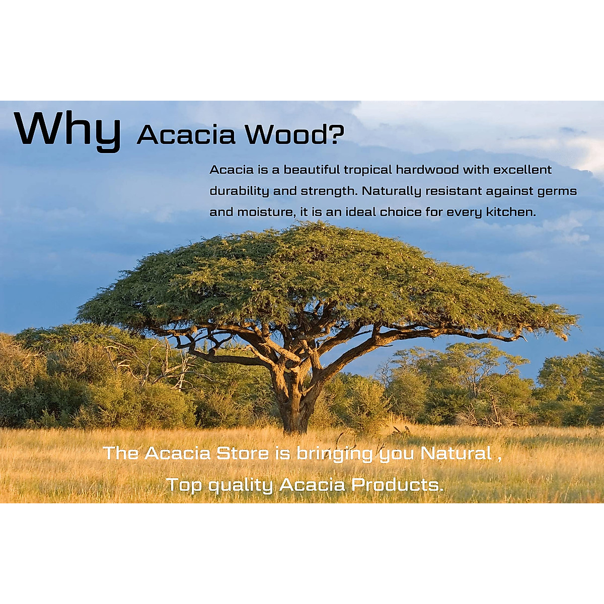 Acacia Wood Rectangular Cutting Board, Made in Vietnam 15.75 x 11.8 x 0.8 Inch