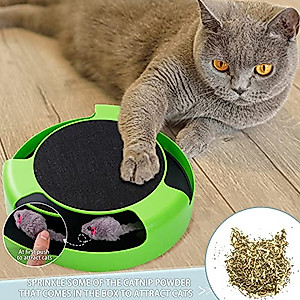 FYNIGO Replaceable Interactive Cat Toy Mouse for Indoor Cats and Kitten,Uncatchable Spinning Mice and a Scratching Pad,Hunting Chasing and Exercising,Cat Scratcher Track Roller Catnip Puzzle Toy,Green