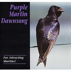 Purple Martin Conservation Products - Dawn Song CD - Purple Martin Attractors