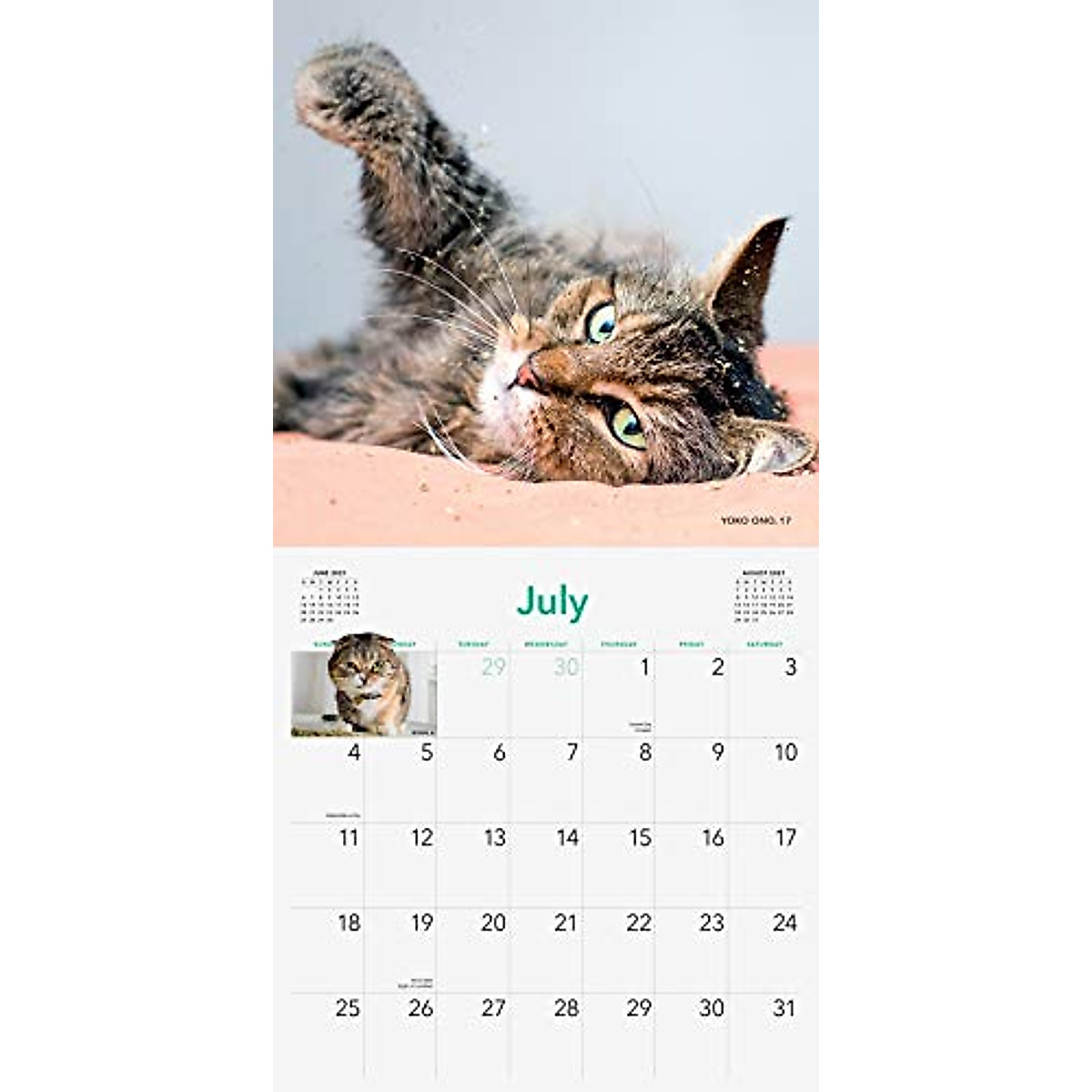 Cats on Catnip Wall Calendar 2021