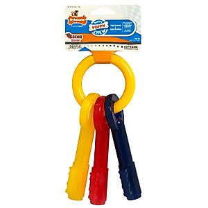 Nylabone Puppy Chew Keys Toy - Puppy Chew Toys for Teething - Puppy Supplies - Bacon Flavor, X-Small/Petite (1 Count)