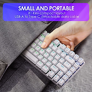 HUO JI E-Yooso Z-88 RGB Mechanical Gaming Keyboard, Metal Panel, Blue Switches - Clicky, Compact 81 Keys Hot Swappable for Mac, PC, Silver and White