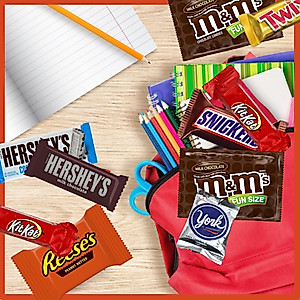 ULTIMATE Assorted 4 Lb. Chocolate Candy Variety Pack, Bulk Mega Candy Mix, Fun Size Assortment, Individually Wrapped Minis, Great for Easter Basket Fillers & Egg Hunts, Parties, Parades & Pinatas! (All Time Favorites, 4 Lbs.)