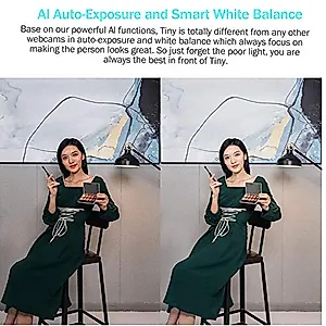 OBSBOT Tiny PTZ Webcam, AI-Powered Framing & Autofocus, Full HD 1080p Webcam with Auto-Exposure Zoom Power Gesture Selfie Video Camera for Online Class/Meeting Live and Streaming