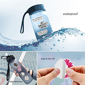 SEMYEIYO 60 PCS Sarcastic Stickers,Funny Stickers for Adults,Snarky, Humorous Quotes Stickers for Water Bottle,Laptop,Phone,Hard Hat,Bumper,Gifts for Adult