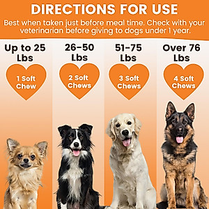 All-in-1 Multivitamin Dog Vitamins and Supplements | Soft Chews with Probiotics, Turmeric, Glucosamine, Omega Fish Oil, Digestive Enzymes for Hip and Joint Support, Skin and Coat Health