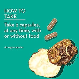 HUM Skin Squad - Vegan Clear Skin Gut Probiotic Supplement - Prebiotic Konjac Root & 9 Strain Probiotic Blend for a Healthy Gut Microbiome, Decreased Breakouts & Glowing Even Skin Tone (60 Capsules)