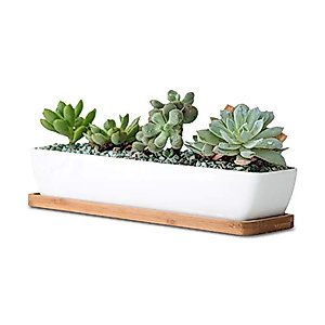 11inch Long Rectangle White Ceramic Succulent Planter Pots/Mini Flower Plant Containers with Bamboo Saucers. Product Size:11x2.36x1.77inch,not Include The Plant. (Long Rectangle)
