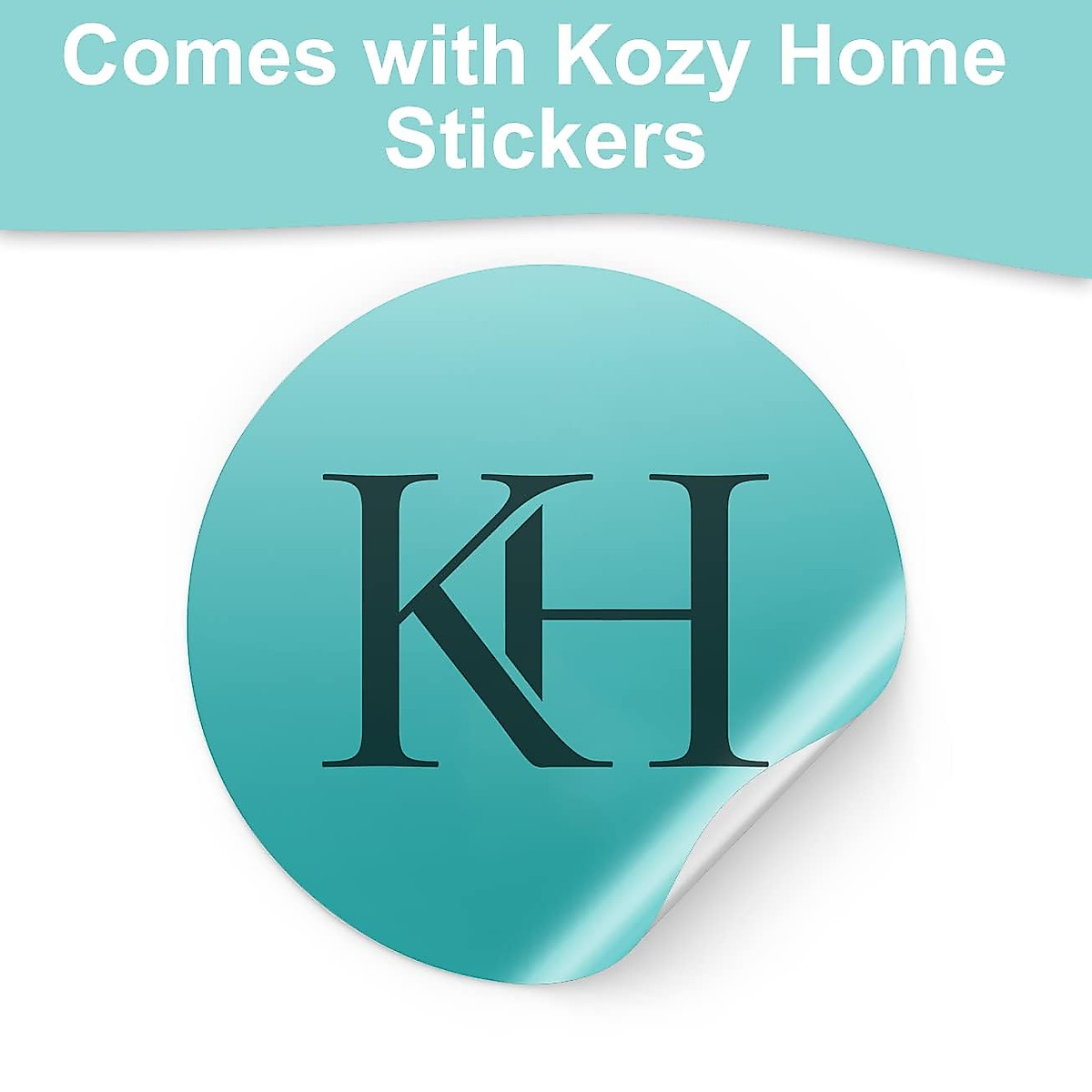 Kozy Home Quest Protein Chips Variety Pack - Assorted Flavors - High Protein Snacks - 6 Pack High Protein, Low Carb, Gluten Free, 1.1 Ounce(Kova Harper Packaging)