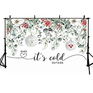 AIBIIN 7x5ft Winter Baby It's Cold Outside Backdrop Christmas Eucalyptus Leaves Baby Shower Decorations Winter Photography Background for Baby Shower Photo Booth Props