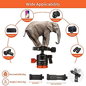 Nietoto New Professional Camera Tripod, Aluminum Travel Tripod for Camera, DSLR Camema Tripod, Compact Professional Camera Tripod Monopod with 360 Panorama Ball Head, 1/4 QR Plate, Carry Bag