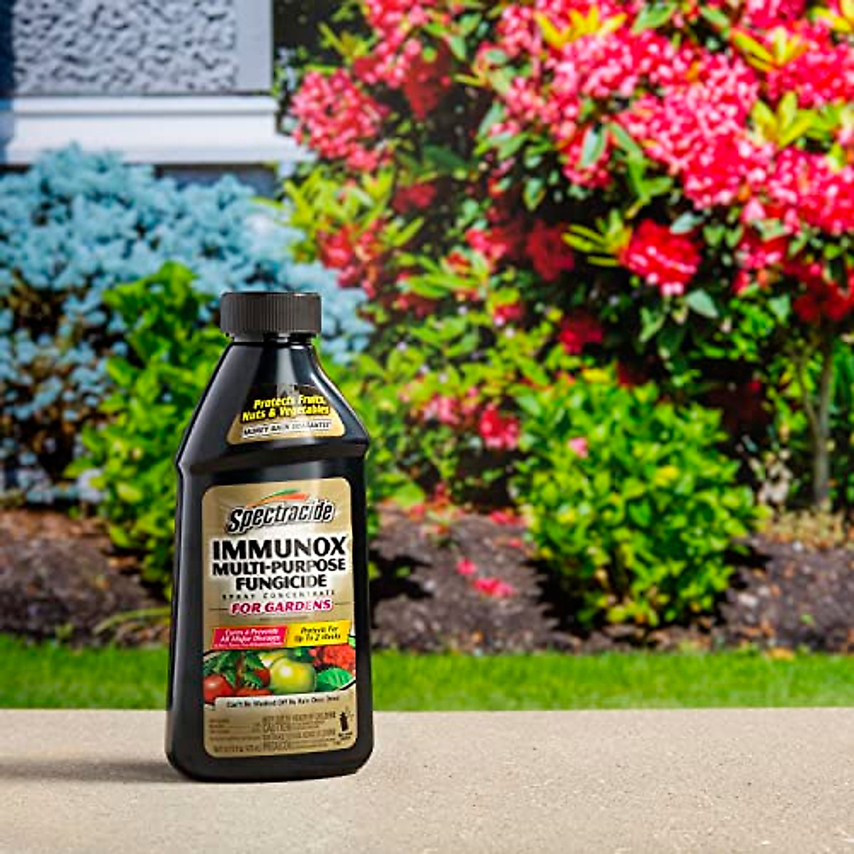 Spectracide Immunox Multi-Purpose Fungicide Spray Concentrate For Gardens 16 Ounces, Protects Up To 2 Weeks
