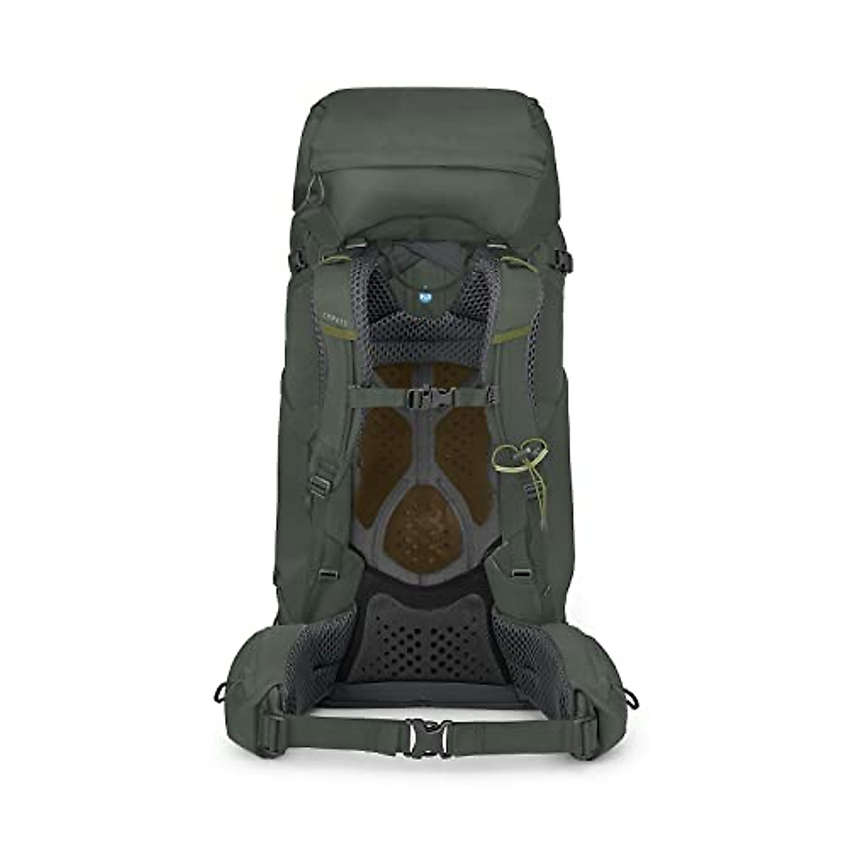 Osprey Kestrel 68L Men's Backpacking Backpack, Bonsai Green, L/XL