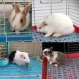 Hamiledyi Rabbit Cage Mats Small Animal Plastic Feet Pads Floor Mat for Pet Cats Dogs Bunny Hamster Rat Chinchilla Guinea Pig, 4 Pcs