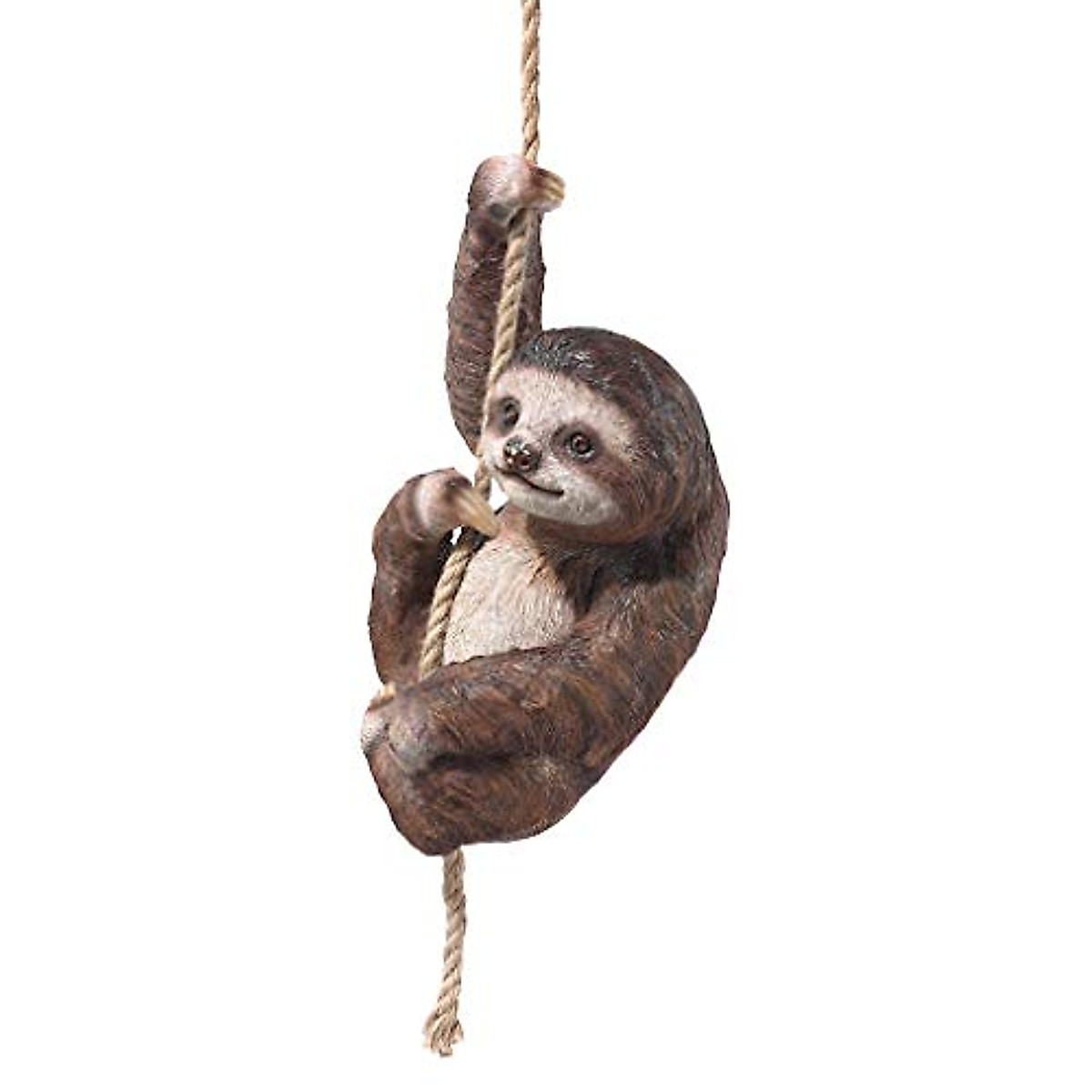 Design Toscano Hanging Horatio The 3-Toed Sloth Statue — 🛍️ The Retail ...