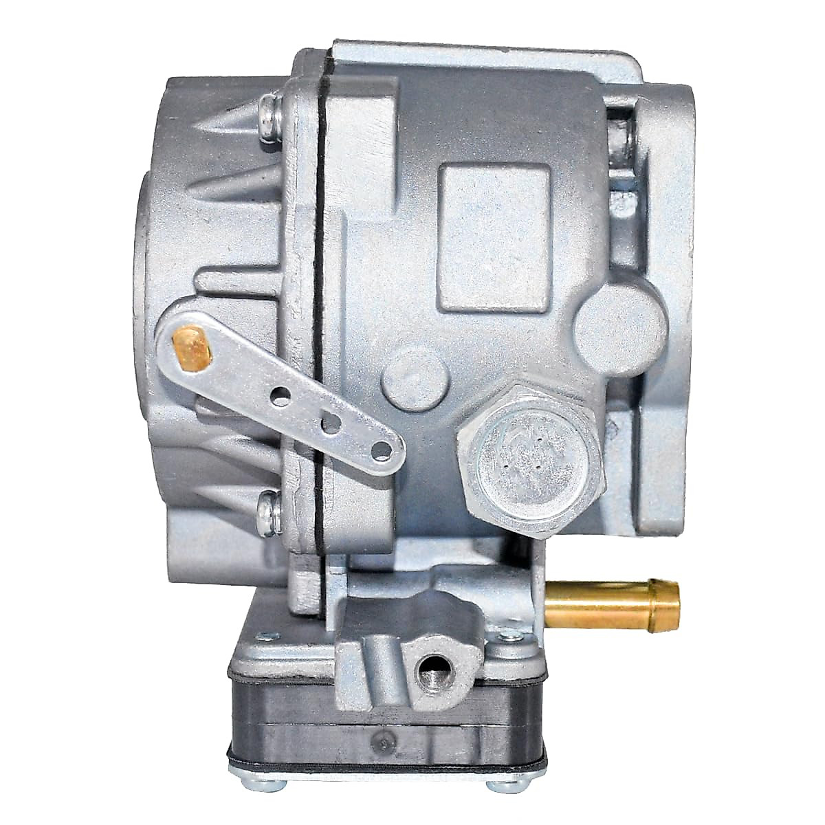 Carburetor Compatible with 693480 693479 694056, Replaces 495181 495026 491429 with Air Filter