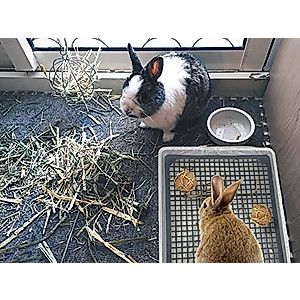 Vehomy Rabbit Guinea Pig Litter Box Small Pet Litter Pan Toilet Potty for Bunny Ferret Hamster Rabbit Toilet with 10pcs Disposable Pet Litter Tray Bags 3pcs Rabbit Coir Chewing Toys and a Brush