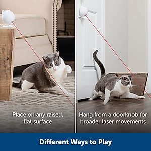 PetSafe Dancing Dot - Automatic Cat Laser Toy - Interactive - Relieves Anxiety & Boredom - Bug-Like Laser Pattern - Hands-Free Play - Hang from Doorknob or Set on Elevated Surface - Play-All-Day Mode