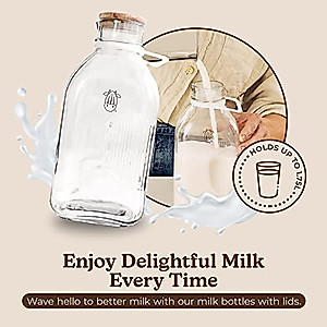 Almond Cow - Glass Pitcher with Lid and Spout, Bottle for Refrigerator, Clear Milk Jug , Food-Grade Glass Liquid Container, 60 fl oz Capacity, 5 x 4 x 10 Inches