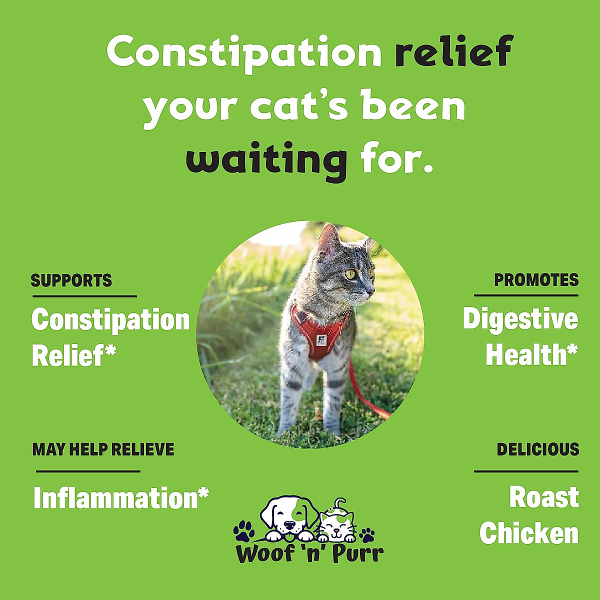 Woof 'n' Purr Constipation Relief for Cats - Cat Constipation Relief - Cat Laxative - Cat Laxative Constipation Relief - Constipation Relief for Cat - Cat Stool Softener - 1 fl oz - (1)