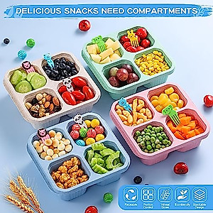 mzvcopm 4 Pack Snack Containers,Divided Bento Lunch Box with Transparent Lids, Reusable Meal Prep Lunch Containers for Kids and Adults,No BPA, 4 Compartment Food Storage Containers