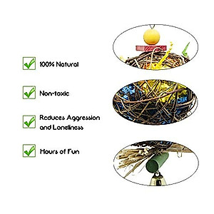 EBaokuup 2 Pack Bird Chewing Toys Foraging Shredder Toy Parrot Cage Shredder Toy Foraging Hanging Toy for Cockatiel Conure African Grey Amazon