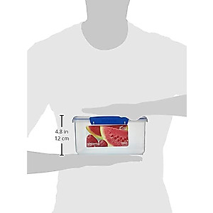 Sistema 1830 Klip It Collection Rectangle Food Storage Container, 101 Ounce
