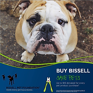 BISSELL Cat & Dog Nail Clippers / Trimmer with Safety Guard and File for Large and Small Animal Grooming, 2055A