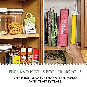 Trappify Sticky Fly and Moths Traps for Home Pest Control - Fly, Gnats, Moths and Other Flying Insects Killer with Extra Sticky Adhesive Disposable Fly and Moths Catcher - 28 Traps