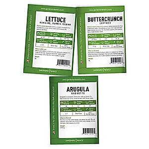 Lettuce and Greens Heirloom Vegetable Seed Non-GMO Seeds for Planting Indoors and Outdoor 5 Packs - Lettuce Buttercrunch, Romaine, Arugula, Kale and Spinach by Gardeners Basics