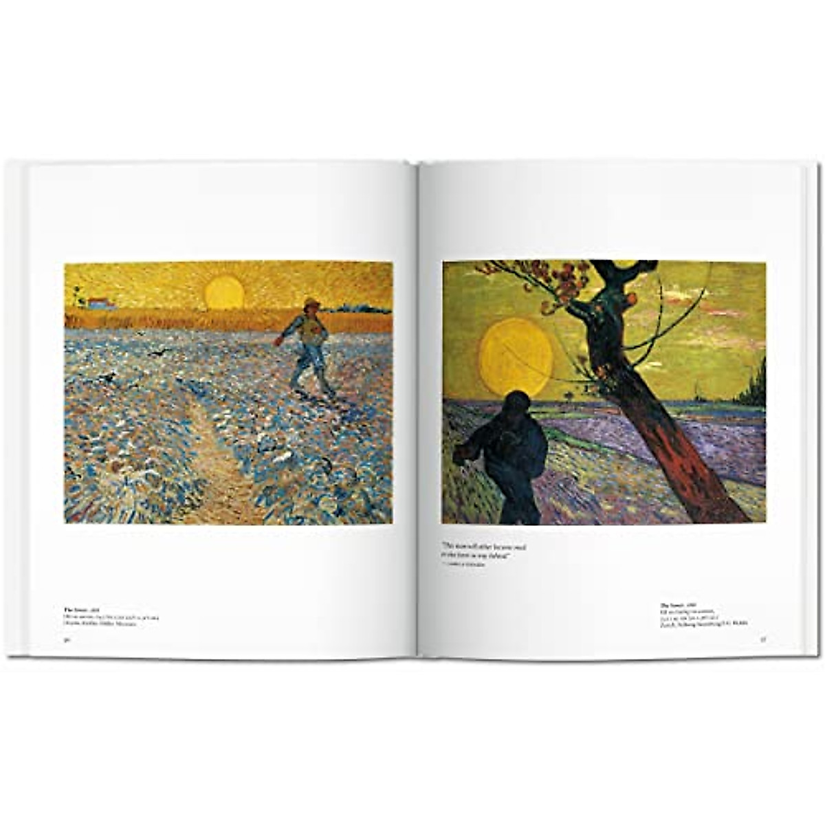 Vincent van Gogh: 1853-1890, Vision and Reality
