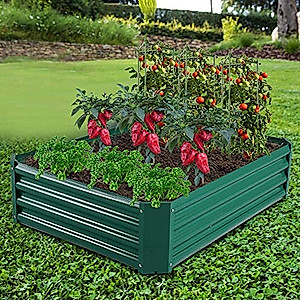 GROWNEER 4 x 3 x 1 Feet Green Metal Raised Garden Bed with 4 Pcs Garden Stakes, 1 Pair of Gloves and 15 Pcs Plant Labels, Elevated Planter Box for Vegetables, Fruits, Flowers, Herbs