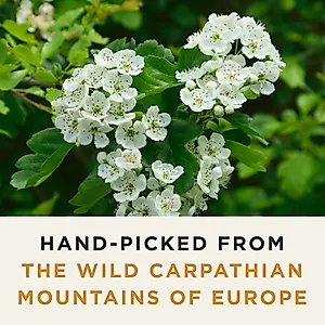 Organic Hawthorn Loose Leaf and Flower Tea - Caffeine Free Herbal Tea - Pharmacopoeia Potency - 1.76 Oz - 25 Servings