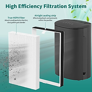 FCFMY 4 Packs F2 A2 True HEPA Replacement Filter Compatible with 3M Filtrete Room Air Cleaner Purifier Models FAP-C02-A2 FAP-C03-A2 FAP-T03-A2 FAP-C02WA-G2 FAP-C03BA-G2 FAP-T03BA-G2 FAP-SC02N