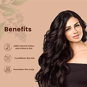 Just Jaivik Henna Powder (Lawsonia Inermis) for Hair - 100% Natural, USDA Certified Organic by OneCert Asia, No Chemicals or Additives, 227 Gms / 0.5 LB/ 8 Oz