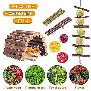 DAMPET Hamster Toys,12 Pack Guinea Pig Chew Toys and Accessories for Hamster Cage,Natural Wooden Guinea Pig Hideout and Timothy Stick Apple Wood for Hamster,Guinea Pig,Rats,Chinchilla,Gerbils,Mice