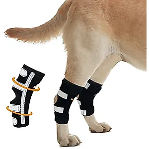 NeoAlly Dog Canine Braces for Rear Legs Super Supportive with Dual Metal Spring Inserts to Stabilize Dog Hind Legs, Help Dogs with Injuries, Sprains, Arthritis, ACL (L Pair)