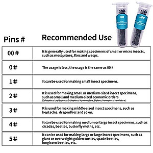 Fpxnb 350 Pcs Stainless Steel Insect Pins in 7 Sizes, Specimen Entomology Pins and Butterfly Collections Needle for School Lab Butterfly Collectors with Vials & Labels