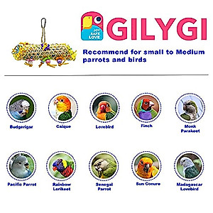 GILYGI Bird Chewing Toy Set, Taco Shaped Bamboo Weaving Toy with 2 Packs of Colorful Shred Paper Replacement, Hanging Fragging Shredder Toys for Parakeet, Cockatiel, Caique, Budgies, Quaker