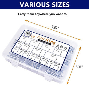 RUIQING 460Pcs 304 Stainless Steel Flat Head Phillips Wood Screws Set, Self-Tapping Sheet Metal Screws Assortment Set Contains #4#6#8#10#12