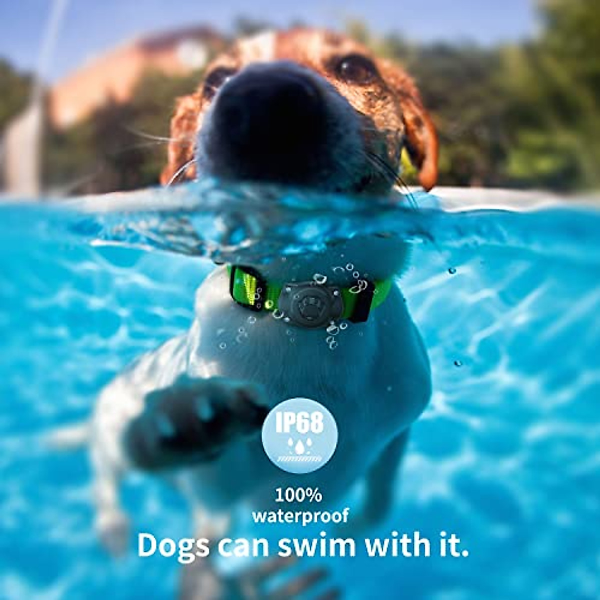 AirTag Dog Collar Holder(2 Pack), FEEYAR 100% Waterproof Air Tag Mount, Hard PC Apple AirTag Holder for Dog & Cat Collars, Ultra-Durable Air Tag Dog Collar Holder - Fits All Width Collars