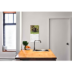 2023 2024 Rottweiler Calendar - Dog Breed Monthly Wall Calendar - 12 x 24 Open - Thick No-Bleed Paper - Giftable - Academic Teacher's Planner Calendar Organizing & Planning - Made in USA