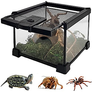 Hamiledyi Mini Reptile Glass Terrarium Tank,8"x8"x6" Hermit Crab Breeding Box Transparent Jumping Spider Enclosure Small Amphibians Habitat Cage for Baby Snake Gecko Lizard Tarantula