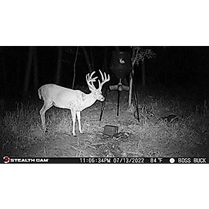 Stealth Cam GMAX32 NO GLO Vision 32MP Photo & 1080P Video at 30FPS 42-940nm LEDs 0.4 Sec Trigger Speed 100Ft Detection & IR Range Hunting Trail Camera