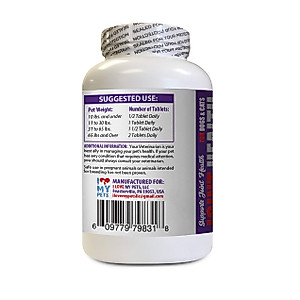 Dog Joint Supplement with tumeric - Pets Joint Health with Turmeric - Premium Ingredients - Healthy - Turmeric for Dogs Curcumin pet antioxidant - 1 Bottle (60 Treats)