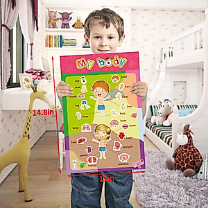 Choclaif Educational Posters for Kindergarten, Elementary School. Classroom Posters with Glue Point Dot for Classroom Decor, Preschool Learning Activities, and Homeschool Supplies(14PCS)