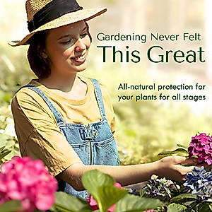 Pure Neem Oil, Neem Oil for Plants, Cold-Pressed Azadiracthin Neem Oil Concentrate for Plants and Irrigation, Plant-Based Dormant Oil Spray for Indoor and Outdoor Gardens, 16 oz - Neem Organics