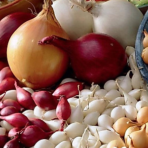 30 Mixed Onion Sets Yellow Onion Red White Onion Bulbs