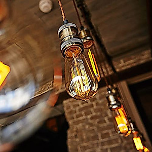 Moonrock & Co. Vintage Edison Light Bulbs - 60W Old Fashion Squirrel Cage Filament - 120 Volts - 230 Lumens - ST58 Teardrop - Dimmable Antique Amber Lighting - Warranty Included